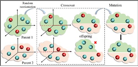 13 Illustration Of Crossover And Mutation Operators A And B Represent Download Scientific