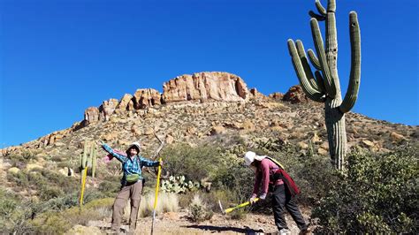Do You Need A Pass For Tonto National Forest At Margaret Steen Blog