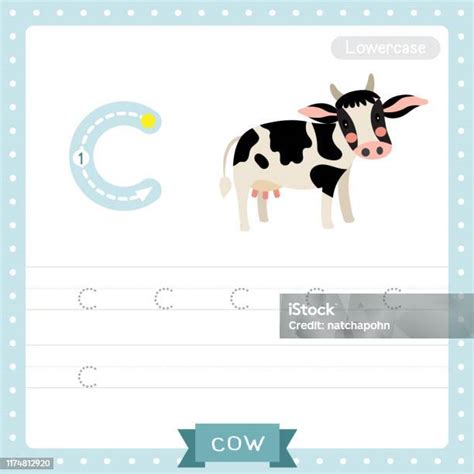 문자 C 소문자 추적 연습 워크 시트입니다 해피 홀스타인 암소 건강관리와 의술에 대한 스톡 벡터 아트 및 기타 이미지 건강