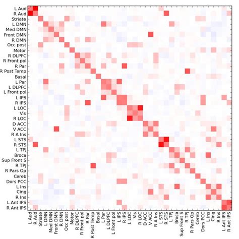 Inverse Correlation Model Giving A Descriptor Of Reference Brain Download Scientific Diagram