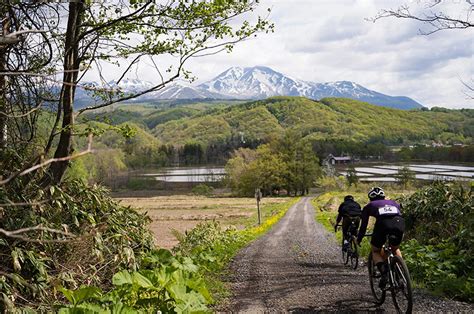 Niseko Events Calendar Powderlife