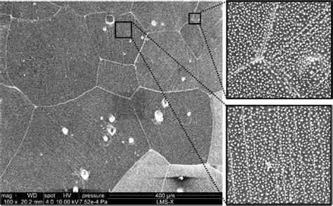 2d Dic Results From In Situ Sem Test On Coarse Grained Material 1