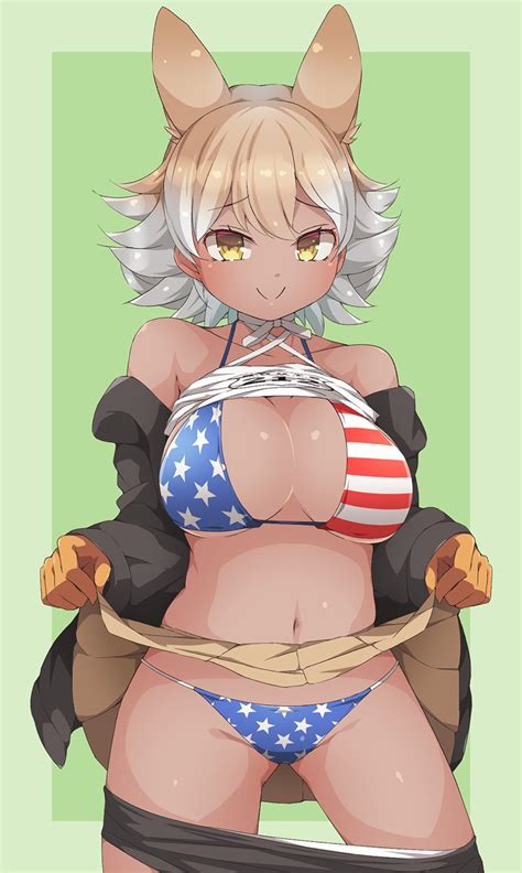 Drias Coyote Kemono Friends Kemono Friends Kemono Friends V
