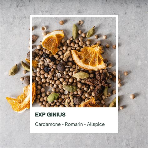Exp Ginius Original Ginius Gin Artisanal