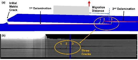 Delamination Path And Migration Detail In Clamped Tapered Beam Specimen