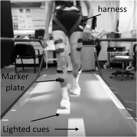Cued Walking Task During The Cued Walking Task Participants Had To