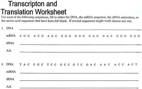 Transcripton And Translation Worksheet For Each Of The Following Sequences Fill In Either The