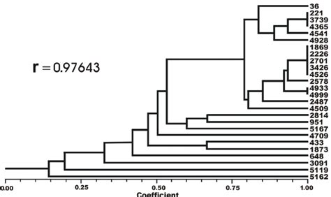 Dendrogram Obtained By Upgma Method Using Jaccard J Similarity