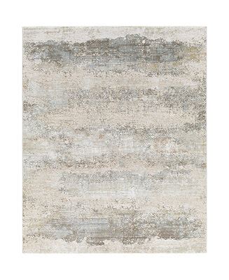 Surya Brunswick Bwk 2305 10 X 14 Area Rug Macys