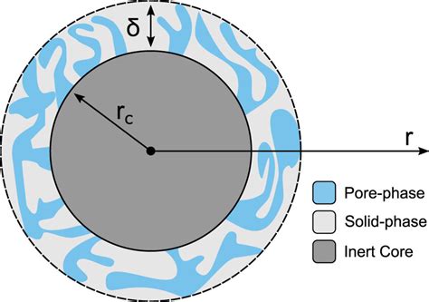 Annulus Geometry Schema Showing The Annulus Geometry And Coordinates Download Scientific