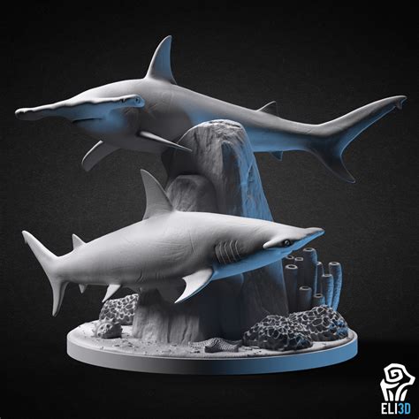 Hammerhead Shark Designs