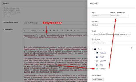 Setting Just An Hash Link Is Ignored By Rte · Issue 5295 · Umbraco