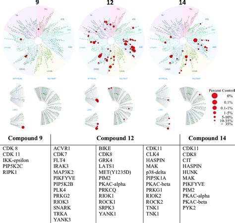 Tree Spot Interaction Map For Compounds 9 12 And 14 Tested At 50 Nm Download Scientific