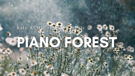 포근한 빗소리와 피아노 음악 1시간 오늘도 숙면하세요 Sleepmusic Rainmusic
