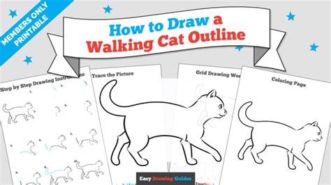 How To Draw Cat Walking