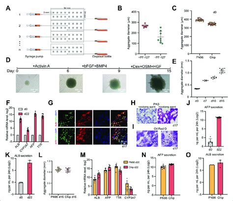 Semi Automated Culturing Of Organoids In Microfluidic Device A