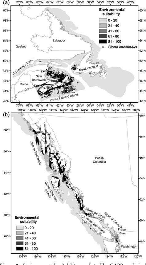 Genetic Algorithm For Rule Set Production Semantic Scholar