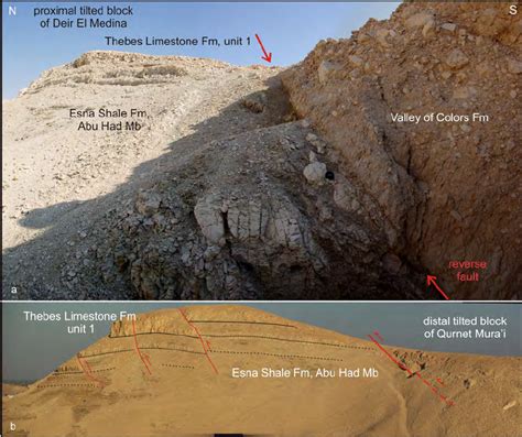 Reverse Fault At The Contact Between The Proximal Tilted Block Of Download Scientific Diagram