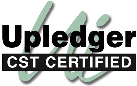 Upledger 10 Step Protocol Chart Brzwdp