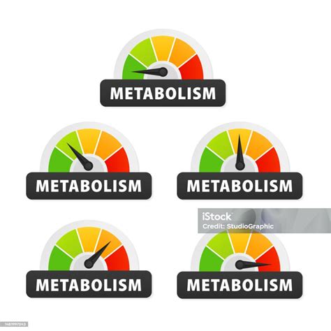 Metabolism Icon On Speedometer High Metabolism Meter Metabolism Level Meter Increase High And