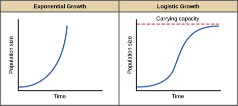 Logistic Growth Ecology