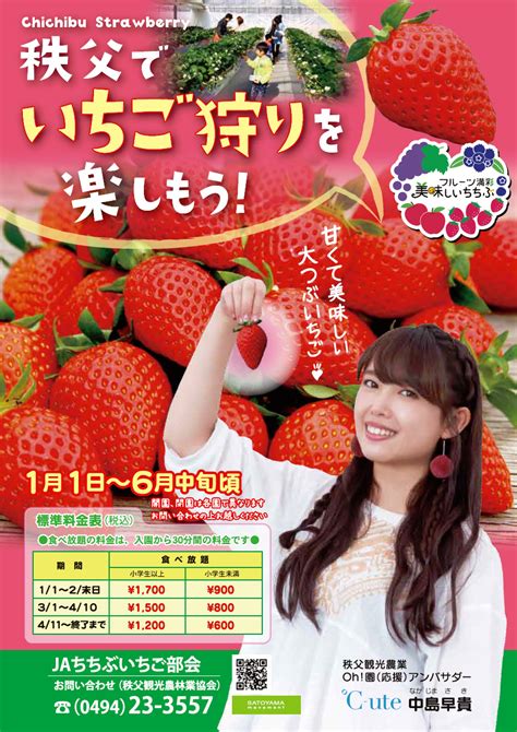 2017いちごパンフレット 秩父観光なび