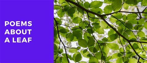 5 Poems About A Leaf That Will Take Your Breath Away Lets Learn Slang
