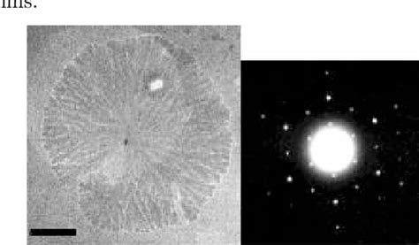 Figure 4 From Growth Rate Of Isotactic Polystyrene Crystals In Thin Films Semantic Scholar