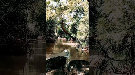 නිවාඩුවට ගෙදර ආවහම මල් පූජ කරන්නෙ මෙතන තමයි 😂😂😂 Youtube