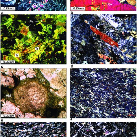 The Microphotographs Of Different Units In The Nodic A The Mesh Download Scientific Diagram