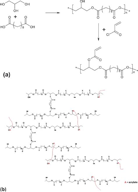 A Modification Of Poly Glycerol Sebacate Pre Polymer With Acrylate Download Scientific