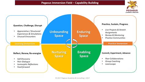 Pegasus Learning Unbound