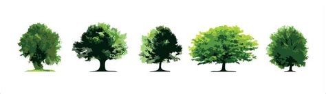 Tree Architecture Vector Art Icons And Graphics For Free Download