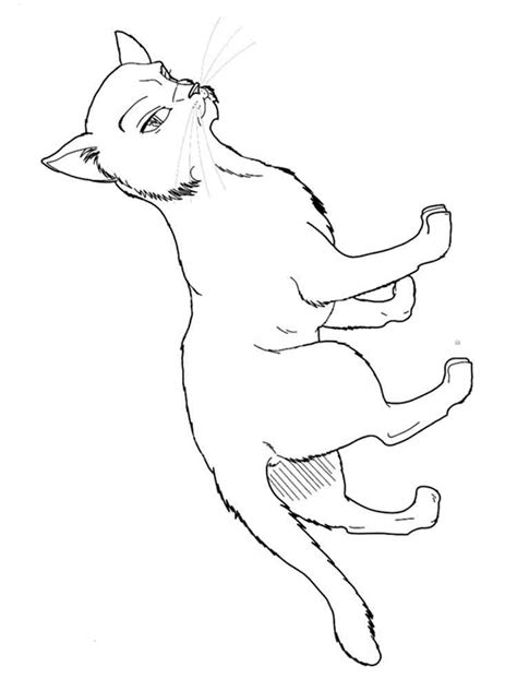 Розмальовки Коти воїни