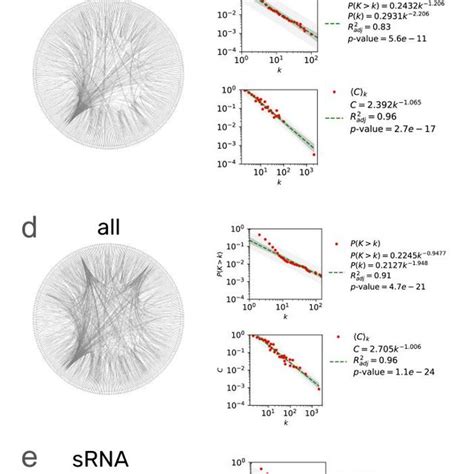 Three Network Models Of The C Glutamicum Regulatory Network The Download Scientific Diagram