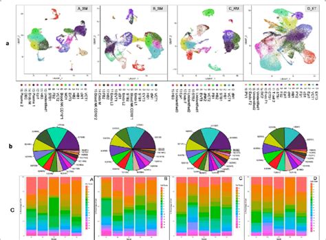 Annotation Of Scrna Seq In Early Pregnancy Loss A Umap Of Scrna Seq