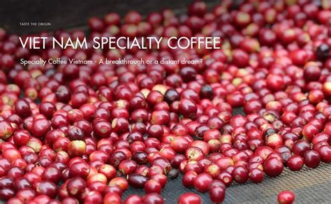 Specialty Coffee In Vietnam A Turning Point Or A Dream