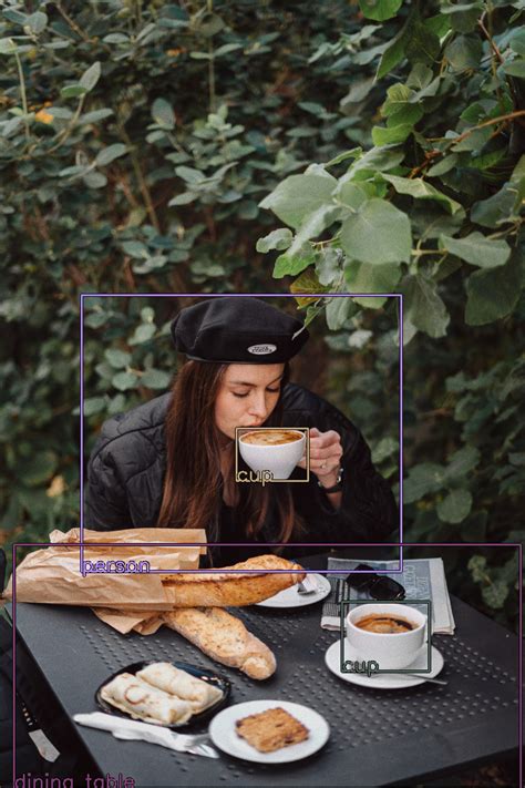 Tf Efficientdet Lite2 · Pypi