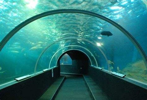 海里全是水，海底隧道是怎样修建的看完感叹工程太伟大了海底隧道沉管法工程新浪新闻
