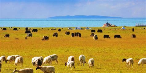 Featured Projects The Natural Capital Project