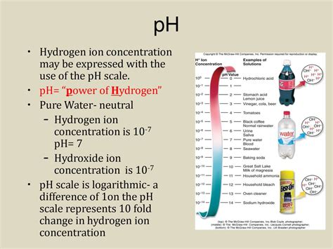 The Chemistry Of Life Chapter Ppt Download