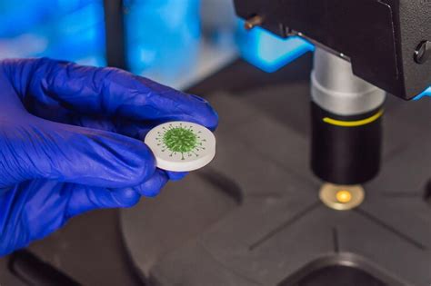 Cell Based Assay Skanda Life Sciences