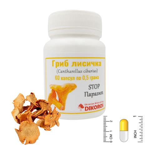 Купити Лисичка справжня (Cantharellus cibarius) Stop Паразит 60 капсул ...