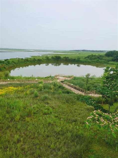 散文故鄉的原風景 每日頭條