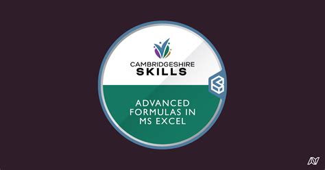 advanced formulas using microsoft excel parts 1 and 2 by cambridgeshire