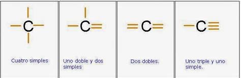 Quimica Orgánica Bio404 Aspectos Fundamentales De La Química Del Carbono