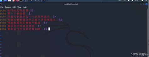 渗透测试 Shell(3)脚本参数传递与数学运算sh 脚本参数 Csdn博客 渗透测试 Shell(3)脚本参数传递与数学运算sh 脚本参数 Csdn博客