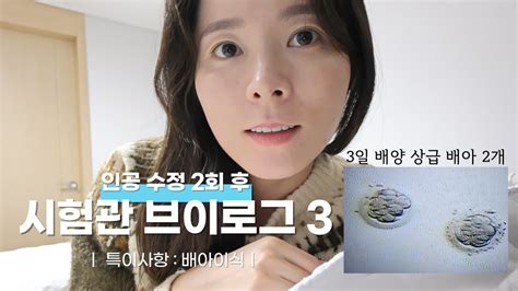 시험관 브이로그 3 I 배아이식 후기 이식 후 마음 편하게 갖는 방법 신선 3일배양 1일차~5일차 전세내고 영화보기 맛있는 브런치카페 시험관브이로그 난임브이로그