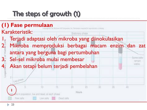 Ppt Mode Of Fermentation Batch Fed Batch And Continuous Powerpoint Presentation Id 8920931