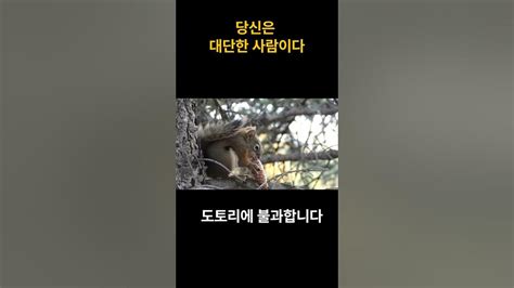 성공하는 사람의 마음가짐 성장하는 사람과 그렇지 않은 사람 성공 습관 독서 Youtube